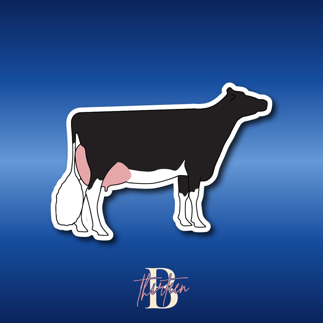 Holstein Heifer Sticker - Etsy