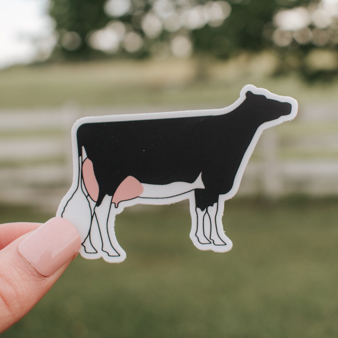 Holstein Heifer Sticker - Etsy