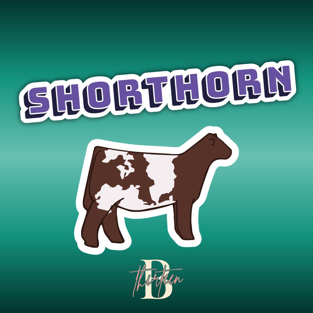 Shorthorn Heifer Sticker Pack - Etsy