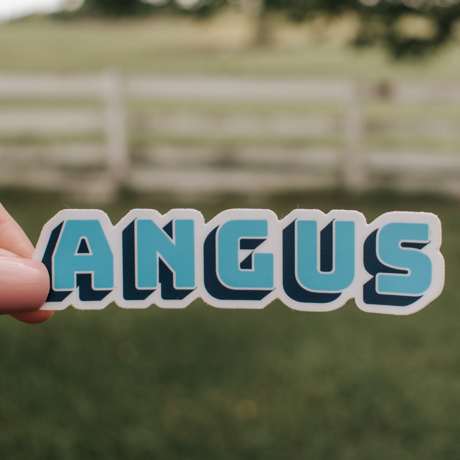 Angus Sticker - Etsy