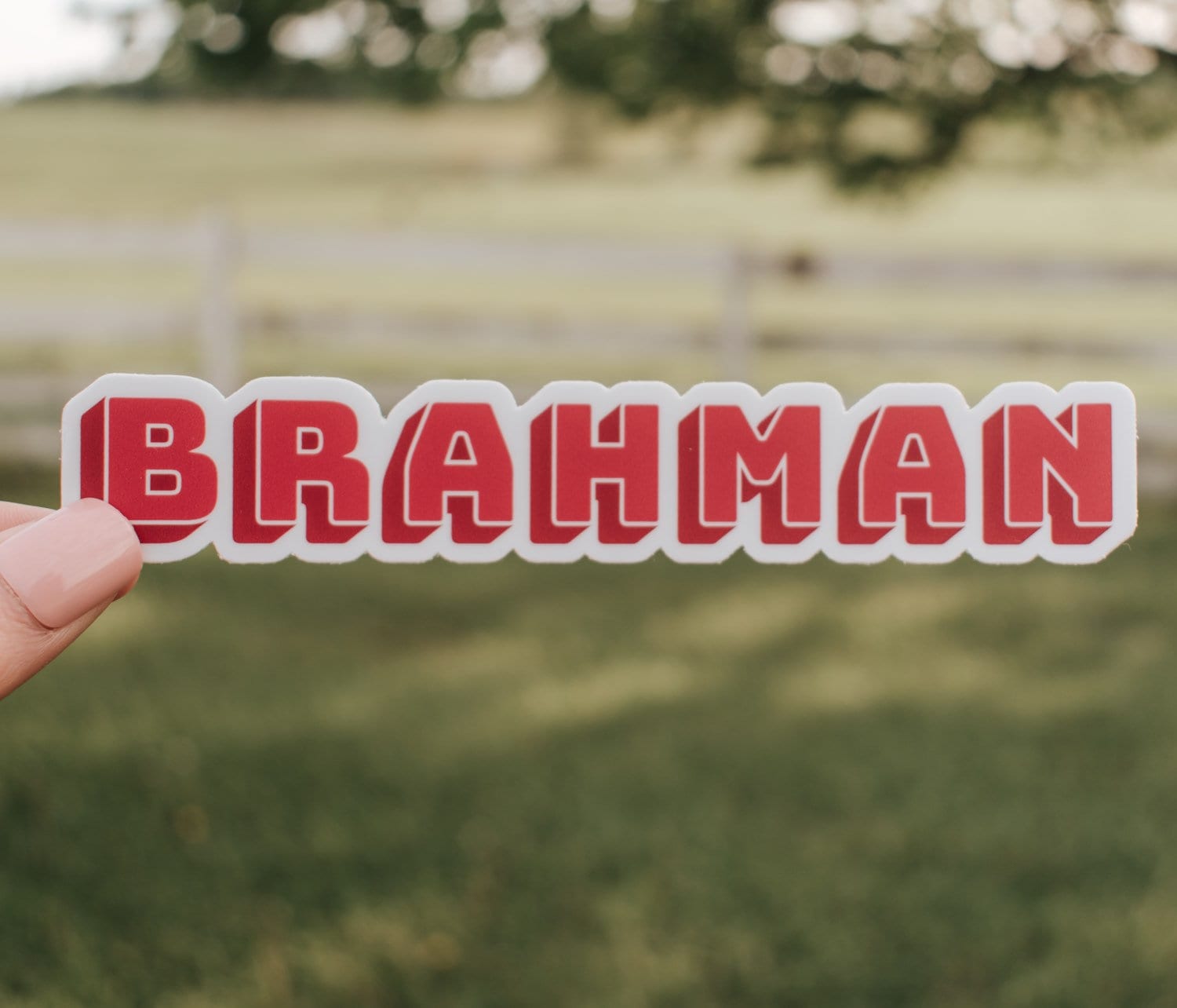 Brahman Sticker - Etsy