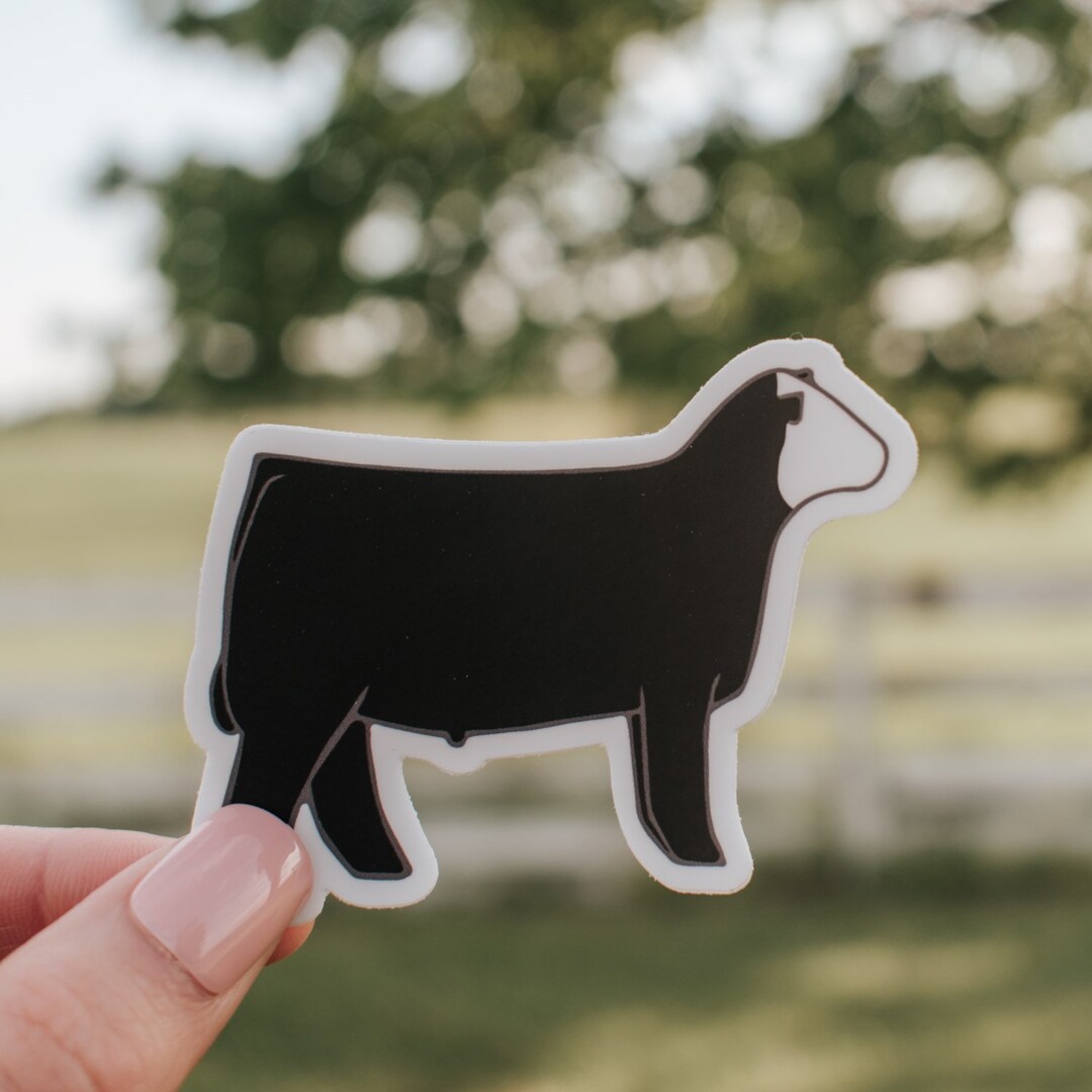 Simmental Steer Sticker - Etsy