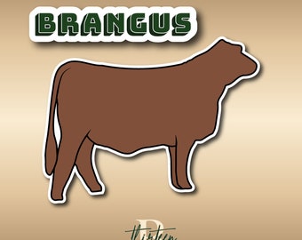 Red Brahman Heifer Sticker Pack | Etsy