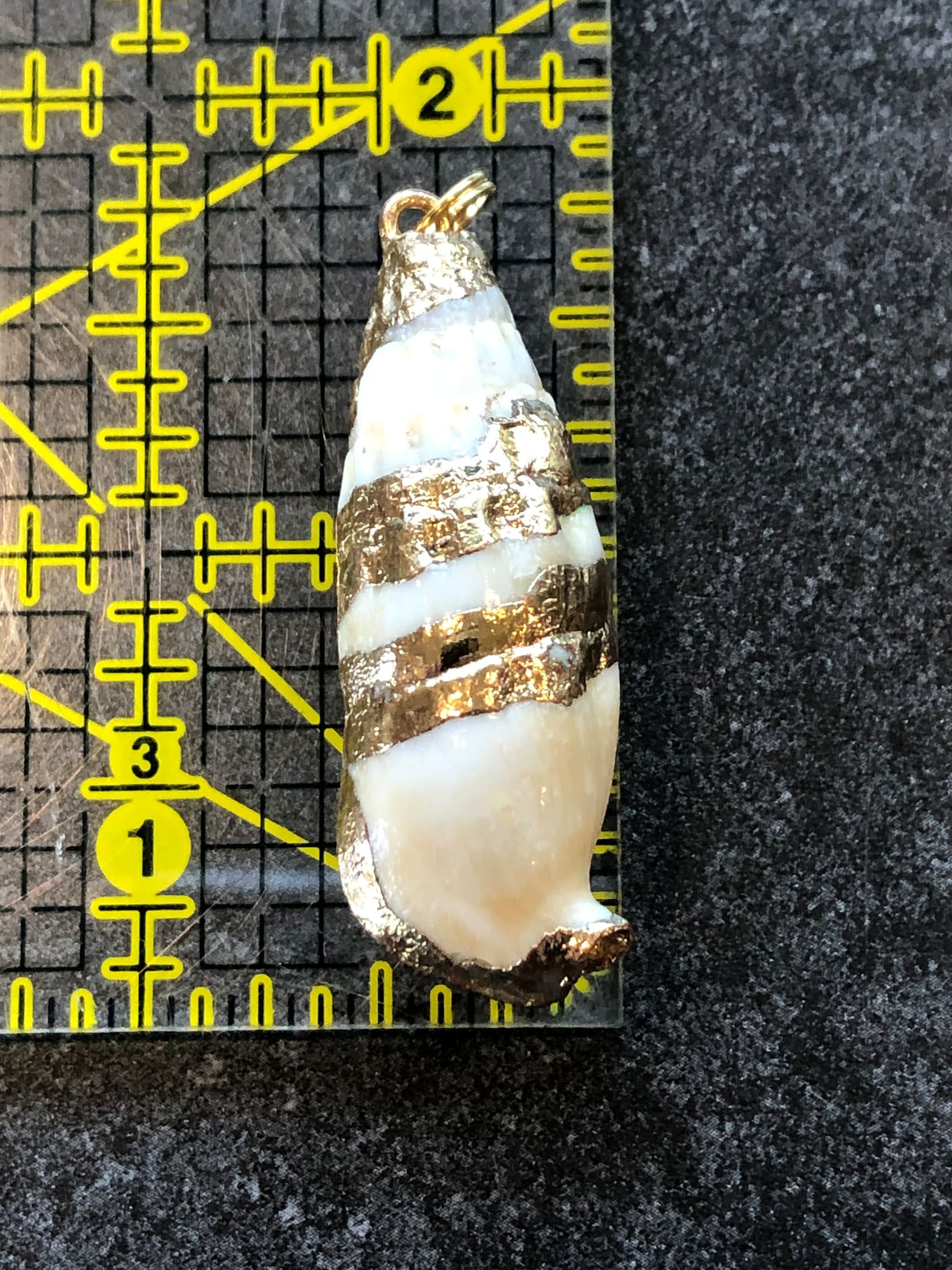 Pendant Sea Shell Crown Conch Single With Wire Bail for Crafting or ...