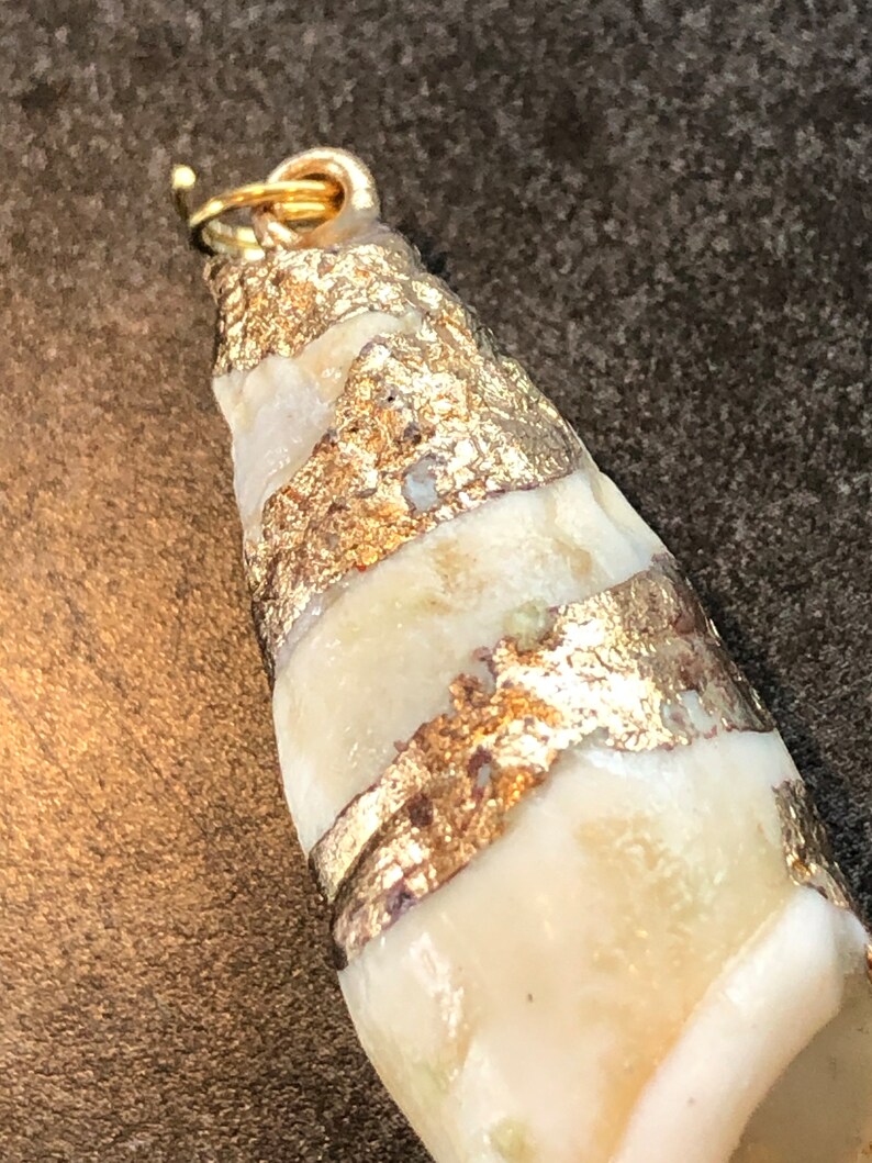 Pendant Sea Shell Crown Conch Single With Wire Bail for Crafting or ...
