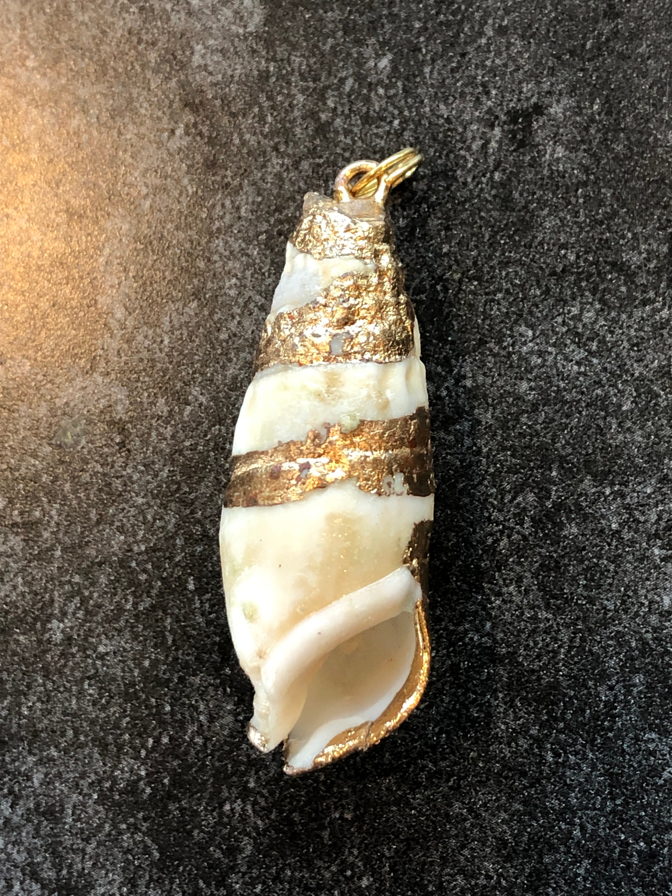 Pendant Sea Shell Crown Conch Single With Wire Bail for Crafting or ...