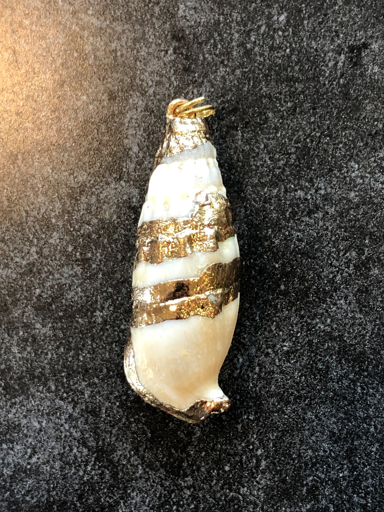 Pendant Sea Shell Crown Conch Single With Wire Bail for Crafting or ...