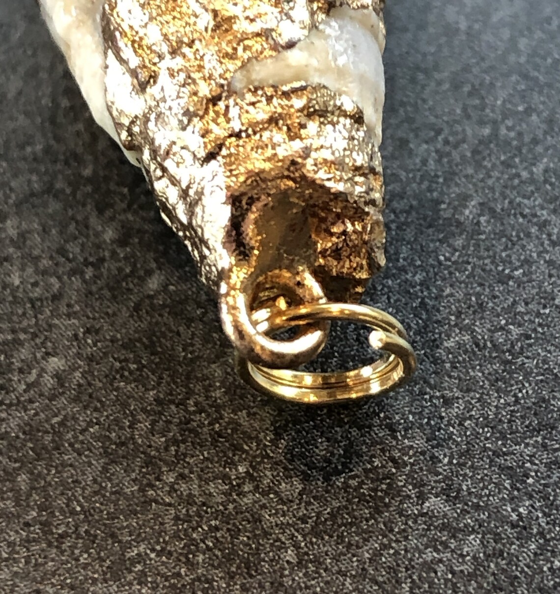 Pendant Sea Shell Crown Conch Single With Wire Bail for Crafting or ...