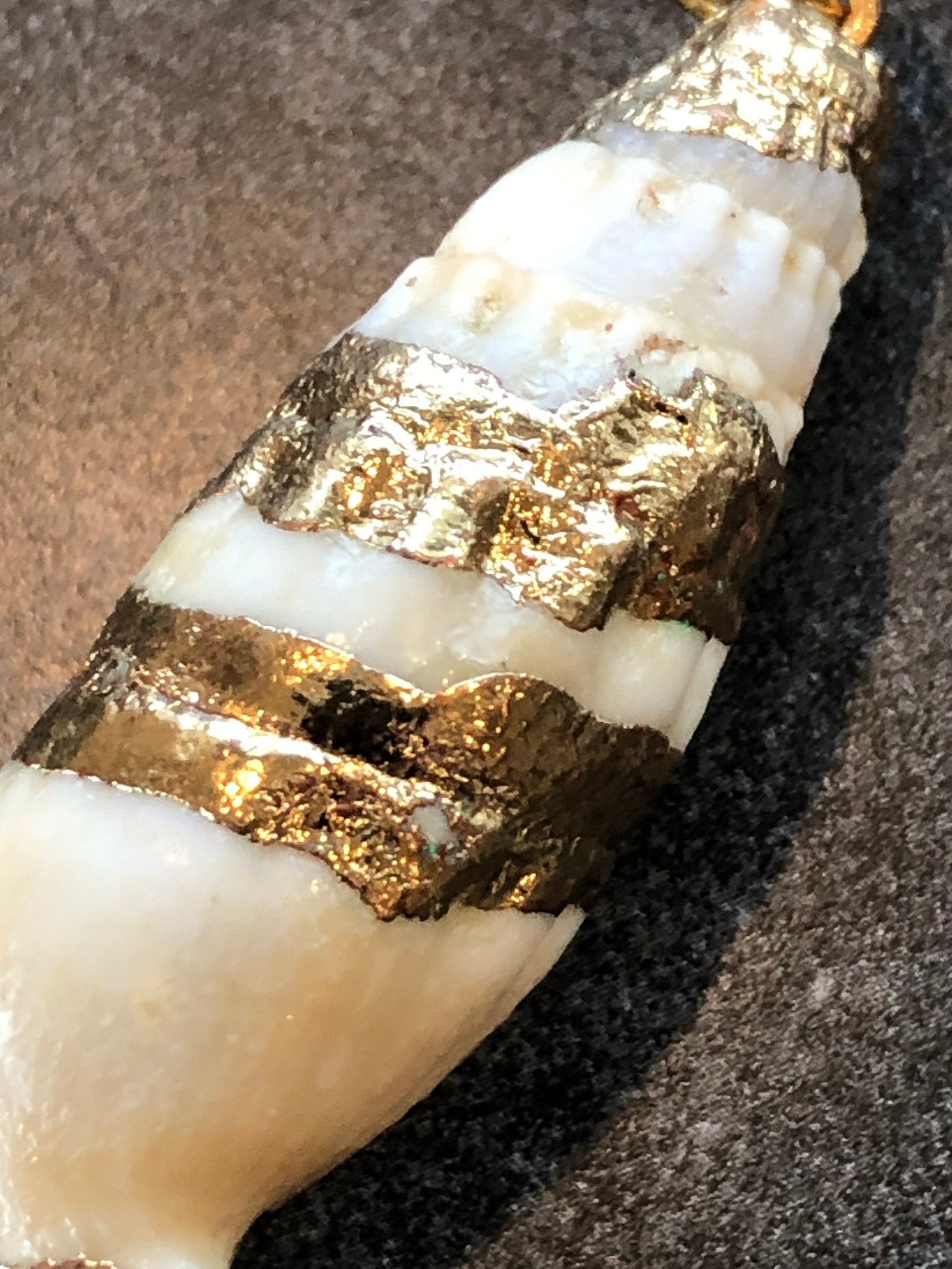 Pendant Sea Shell Crown Conch Single With Wire Bail for Crafting or ...