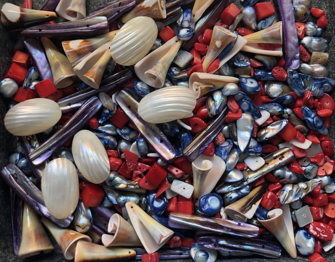 Beads 230+ Sea Shell in Various Shapes Sizes Assorted Dyed & Natural ...