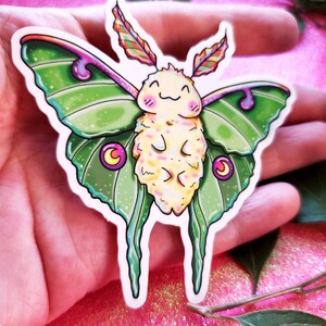 Kawaii Cute Luna Moth Vinyl Sticker - Etsy