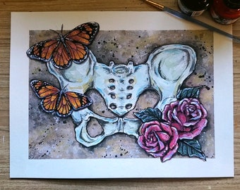 Pelvic Bone Anatomy - Etsy