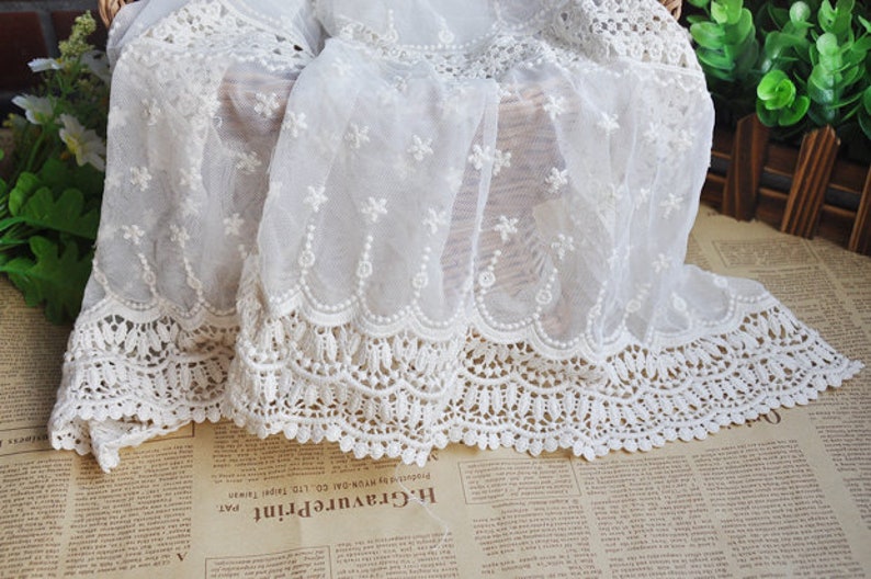 Exquisite Beige Tulle Lace Fabric Both Edges Cotton Flower Embroidery ...