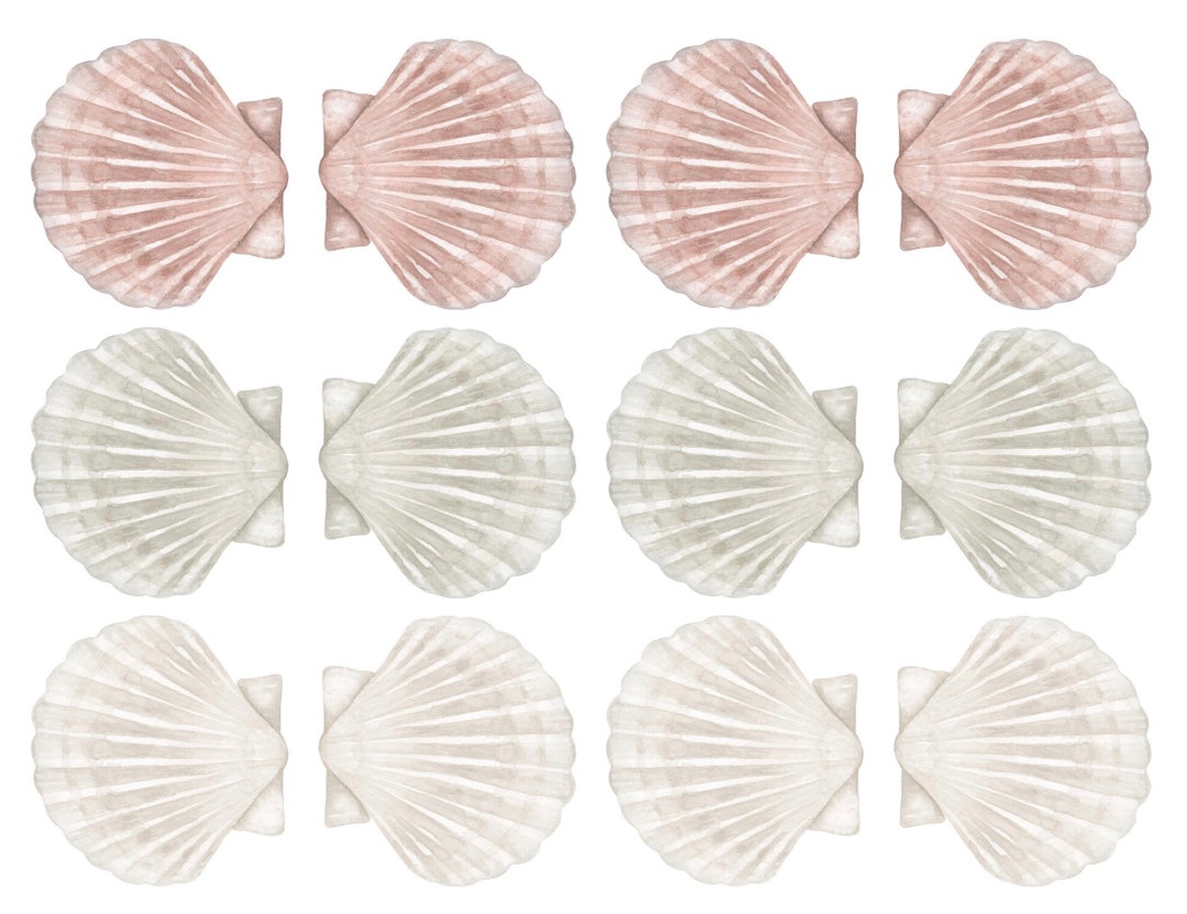 Shell Wall Decals Seashell Wall Decals Coastal Wall Decor - Etsy