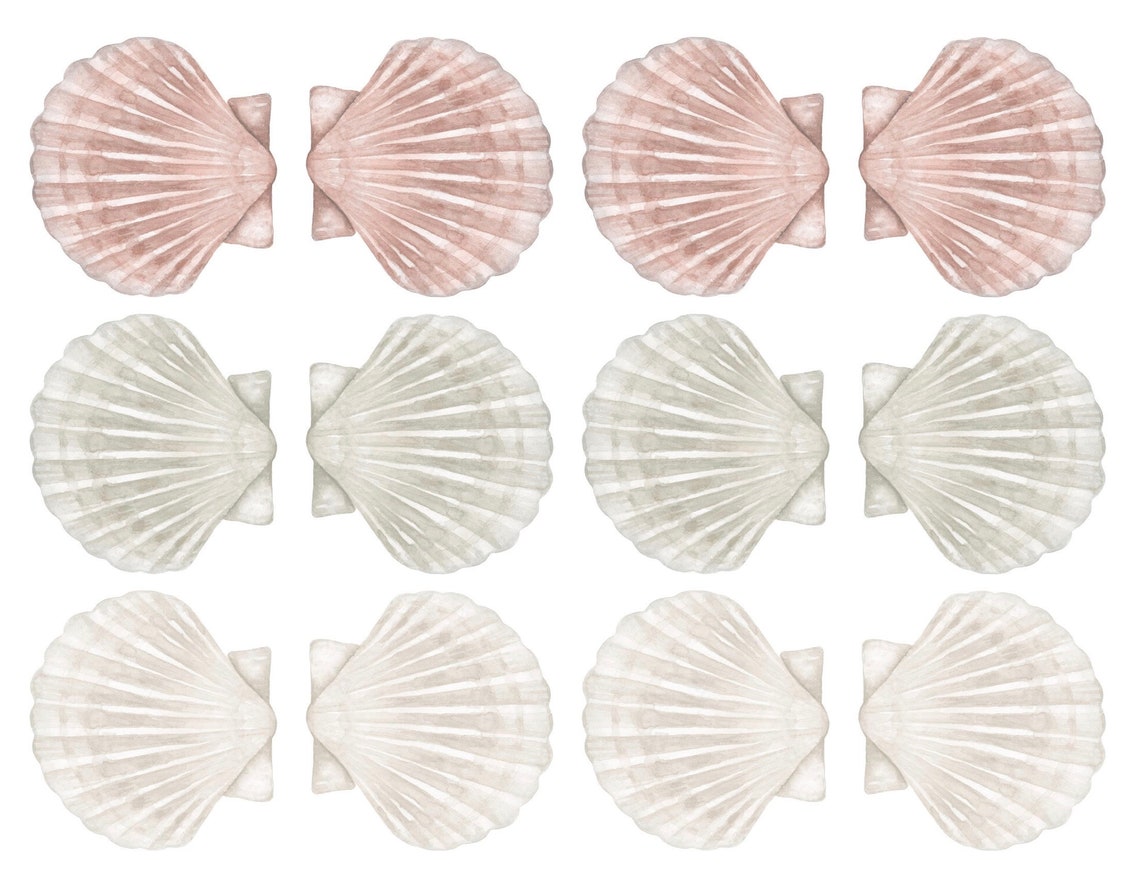 Shell Wall Decals Seashell Wall Decals Coastal Wall Decor | Etsy