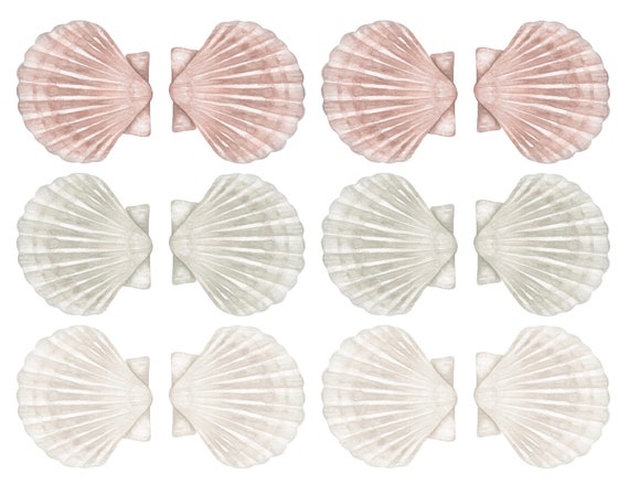 Shell Wall Decals Seashell Wall Decals Coastal Wall Decor | Etsy