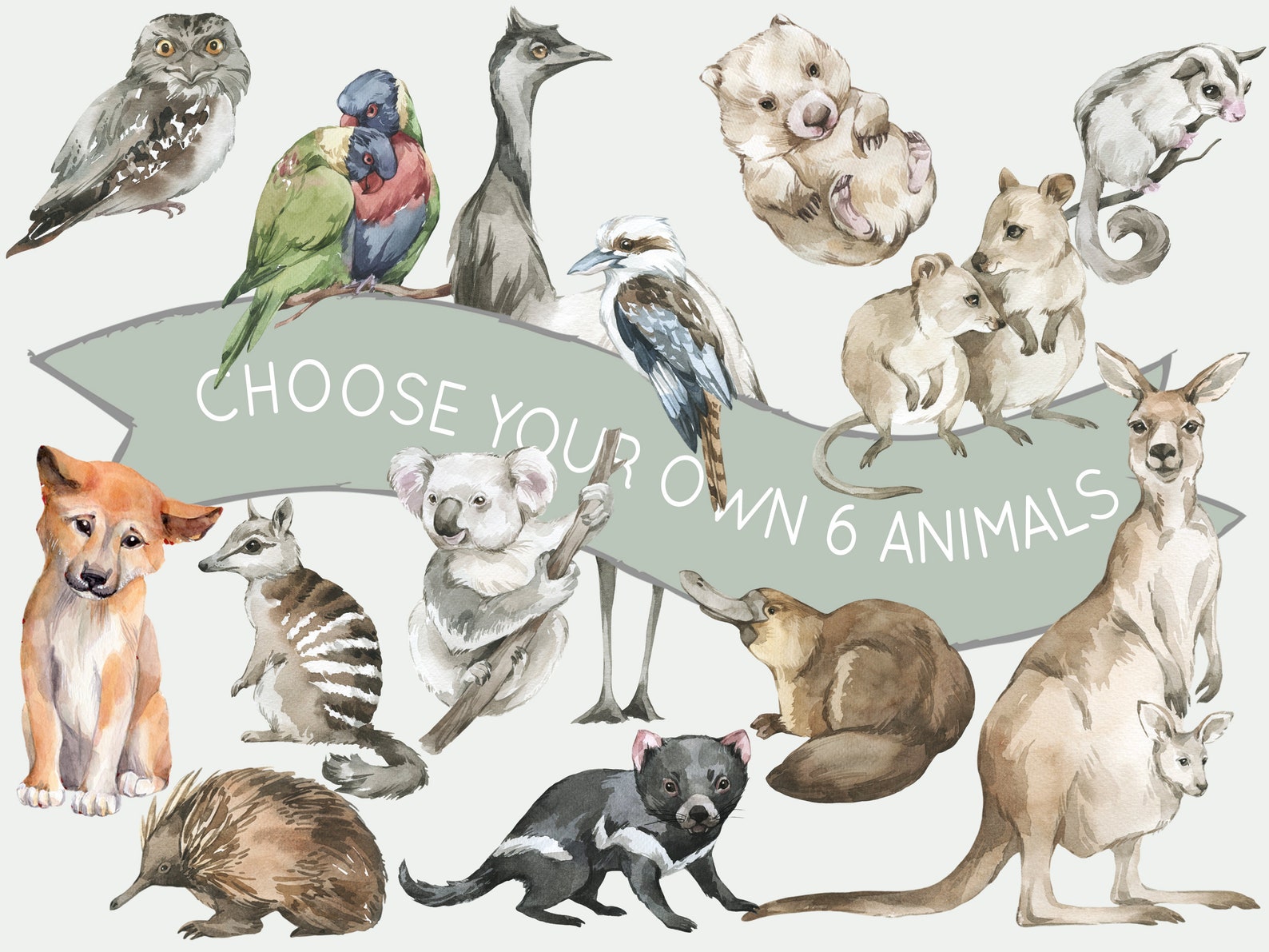Pick Your Own Australian Animals + TREE , Australian Theme Nursery ...