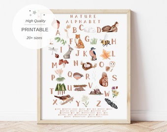 Enchanted Forest Abc - Etsy