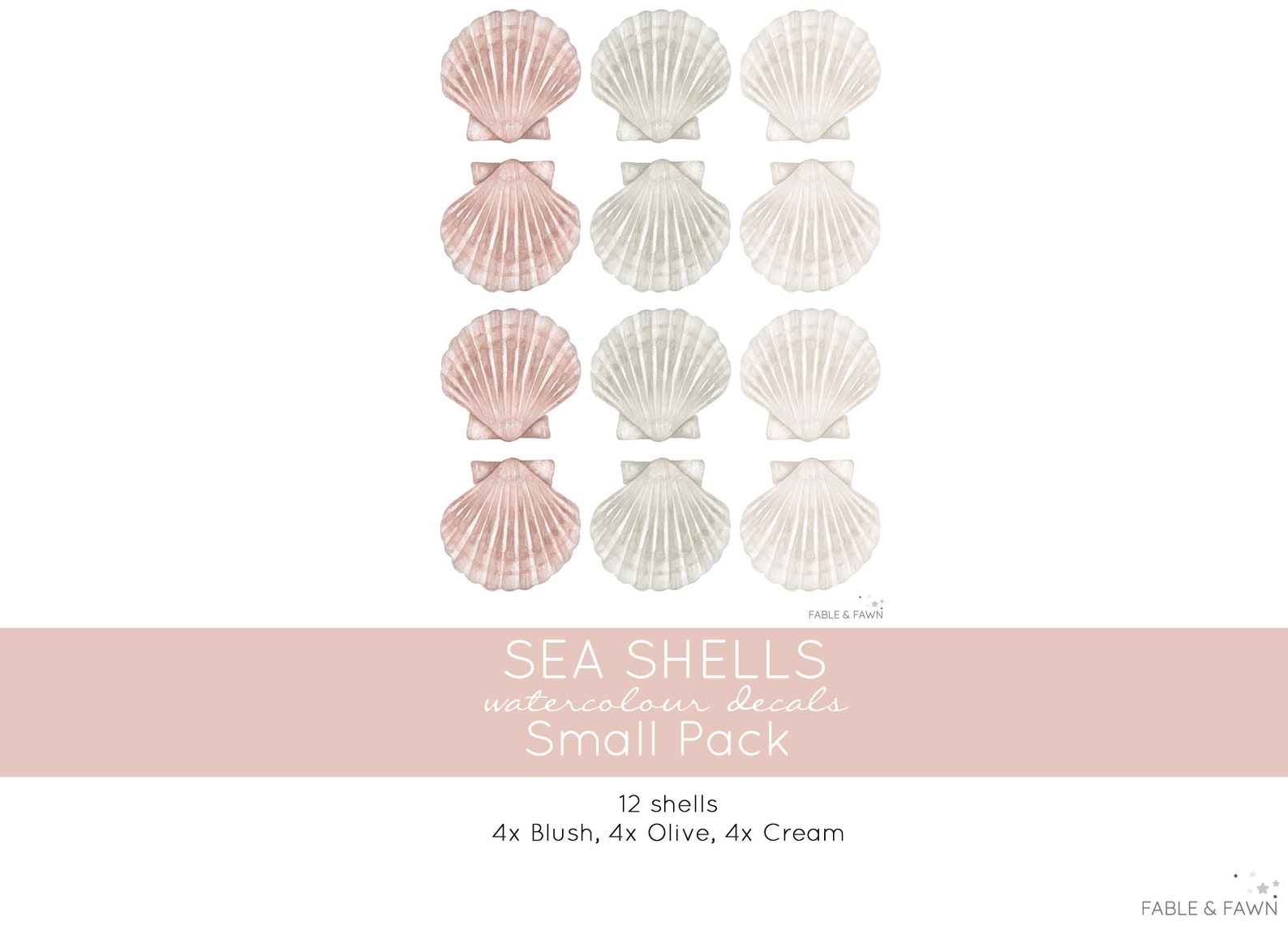 Shell Wall Decals Seashell Wall Decals Coastal Wall Decor - Etsy
