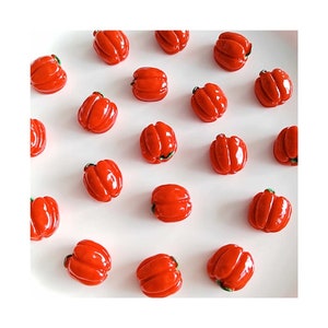 DIY Vegetable Miniatures Cute Resin Bell Pepper Chili Pumpkin ...