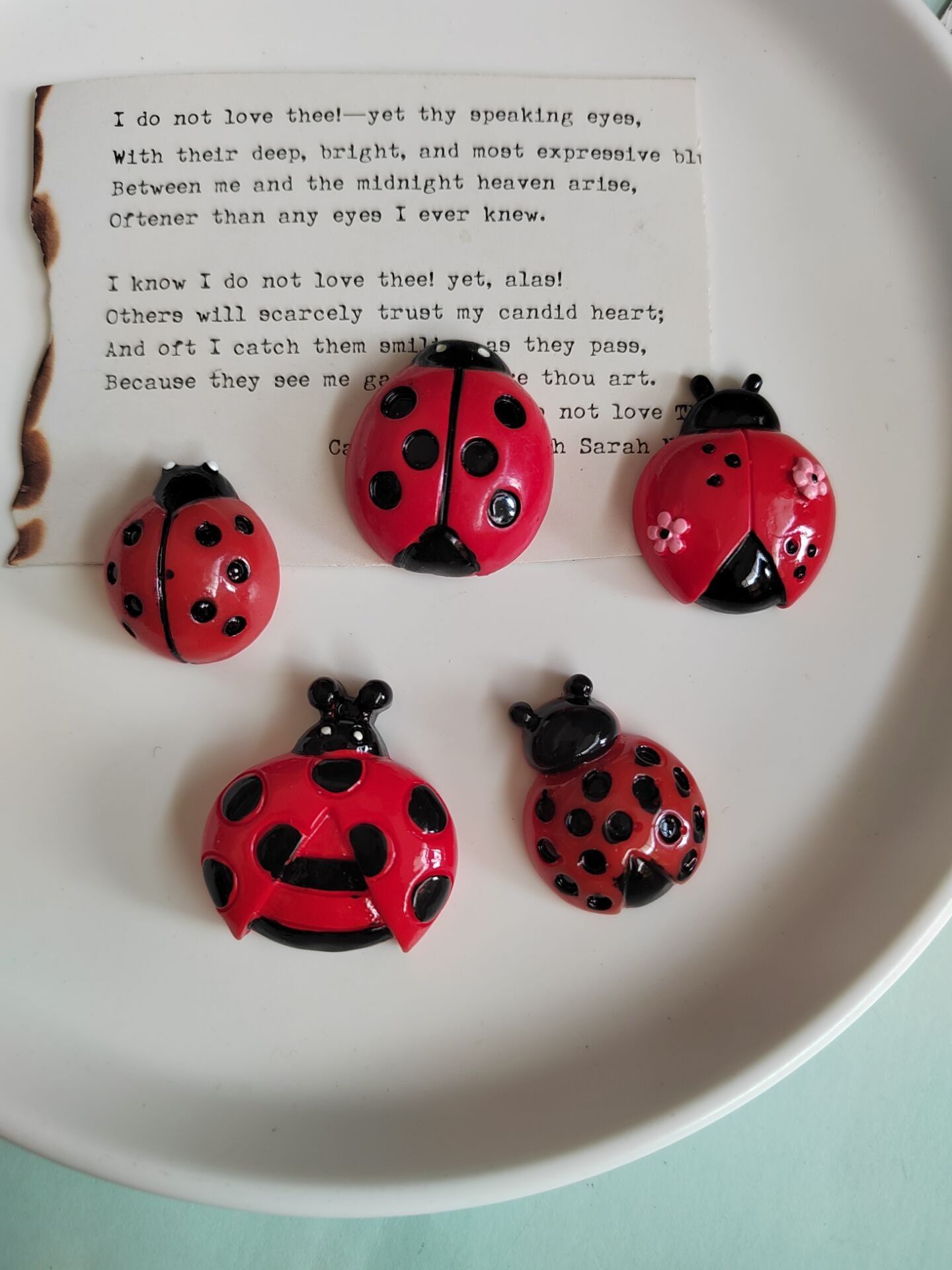 Resin Ladybird Ladybug Beetle Charms Flatback Kawaii Cabochon Fridge ...