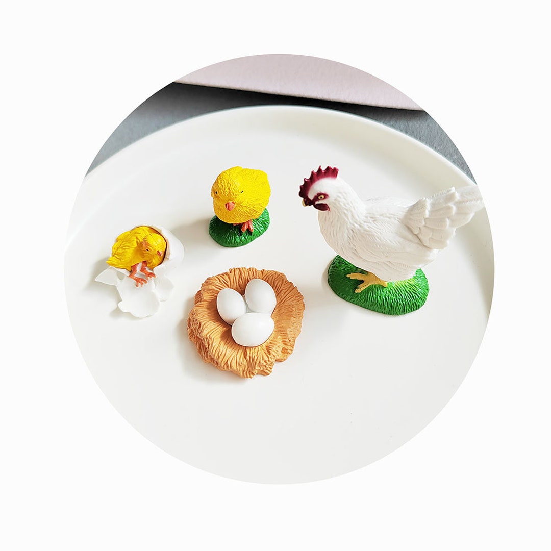 Simulation Small Animal Model Toy Growth Life Cycle Chicken ...