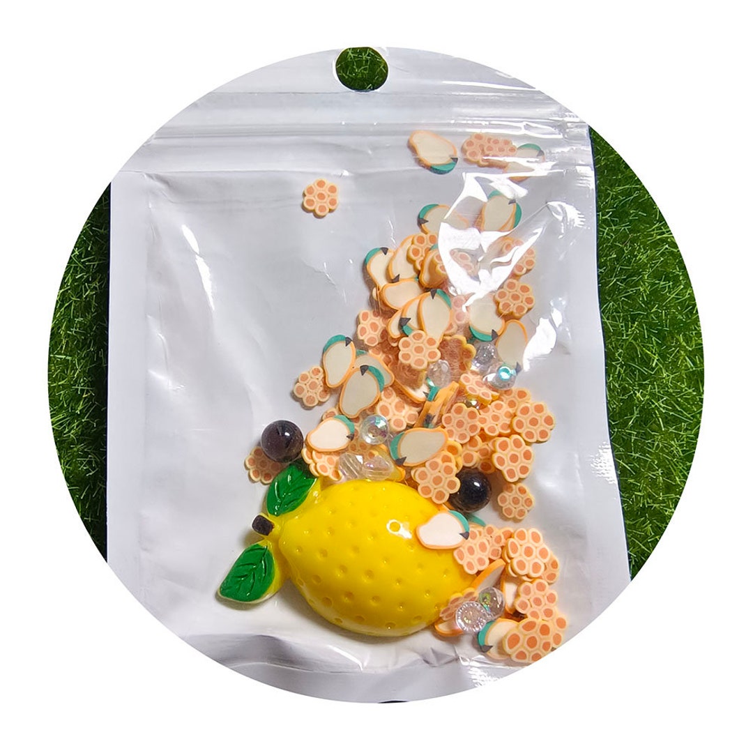 Colorful Fruit Polymer Clay Slices for Resin Art and Jewelry Making 3g ...