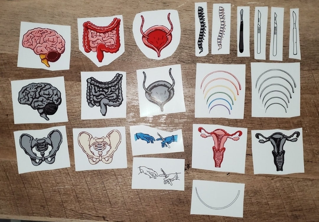 Surgery Stickers; Organ Stickers - Etsy