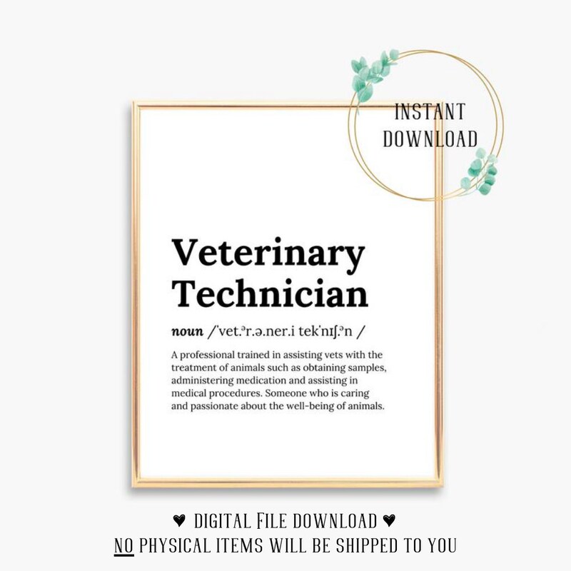 Veterinary Art - Etsy