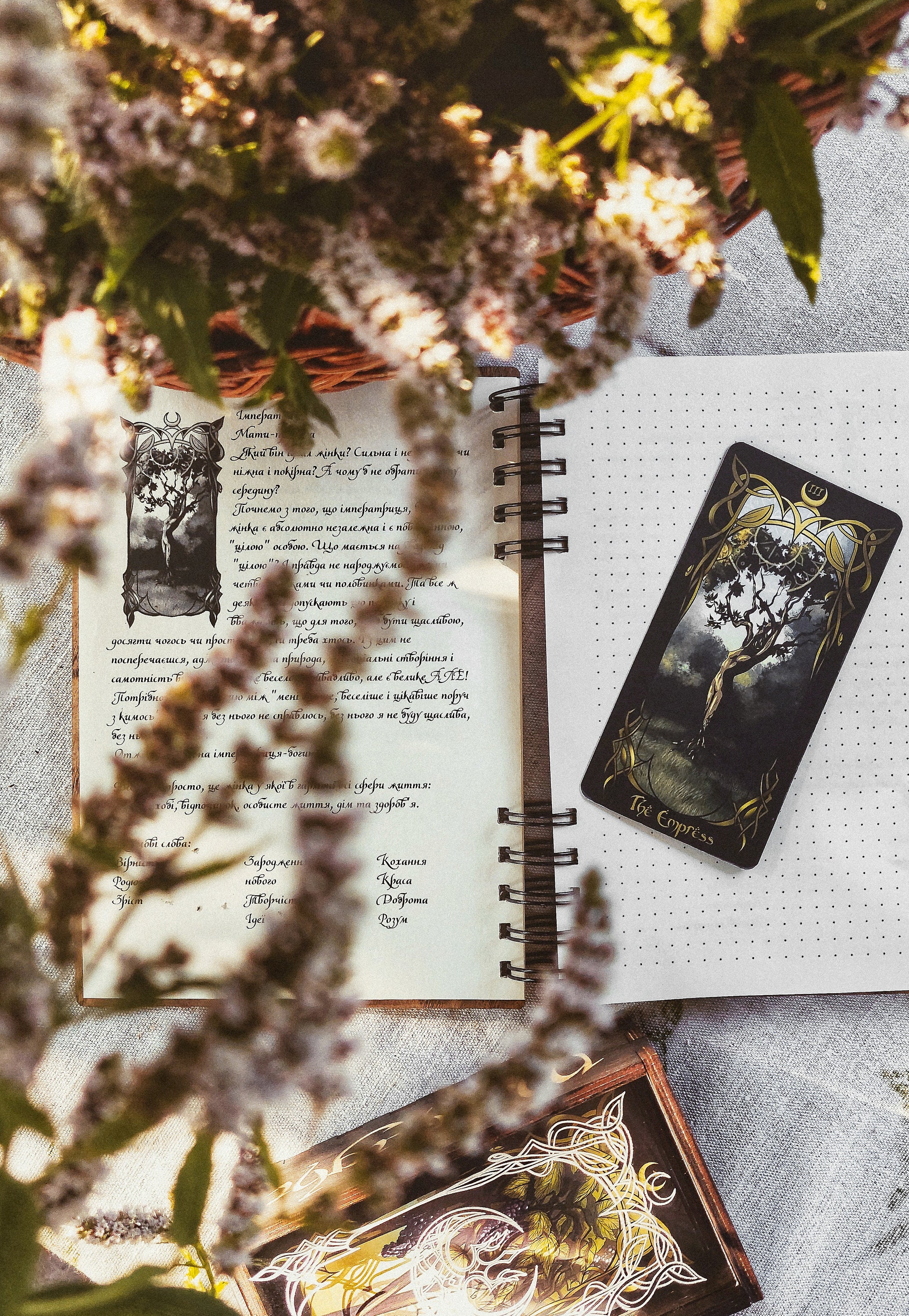 MOONLIGHT Tarot Deck With Guidebook, 78 Cards, Dark Tarot Deck for ...
