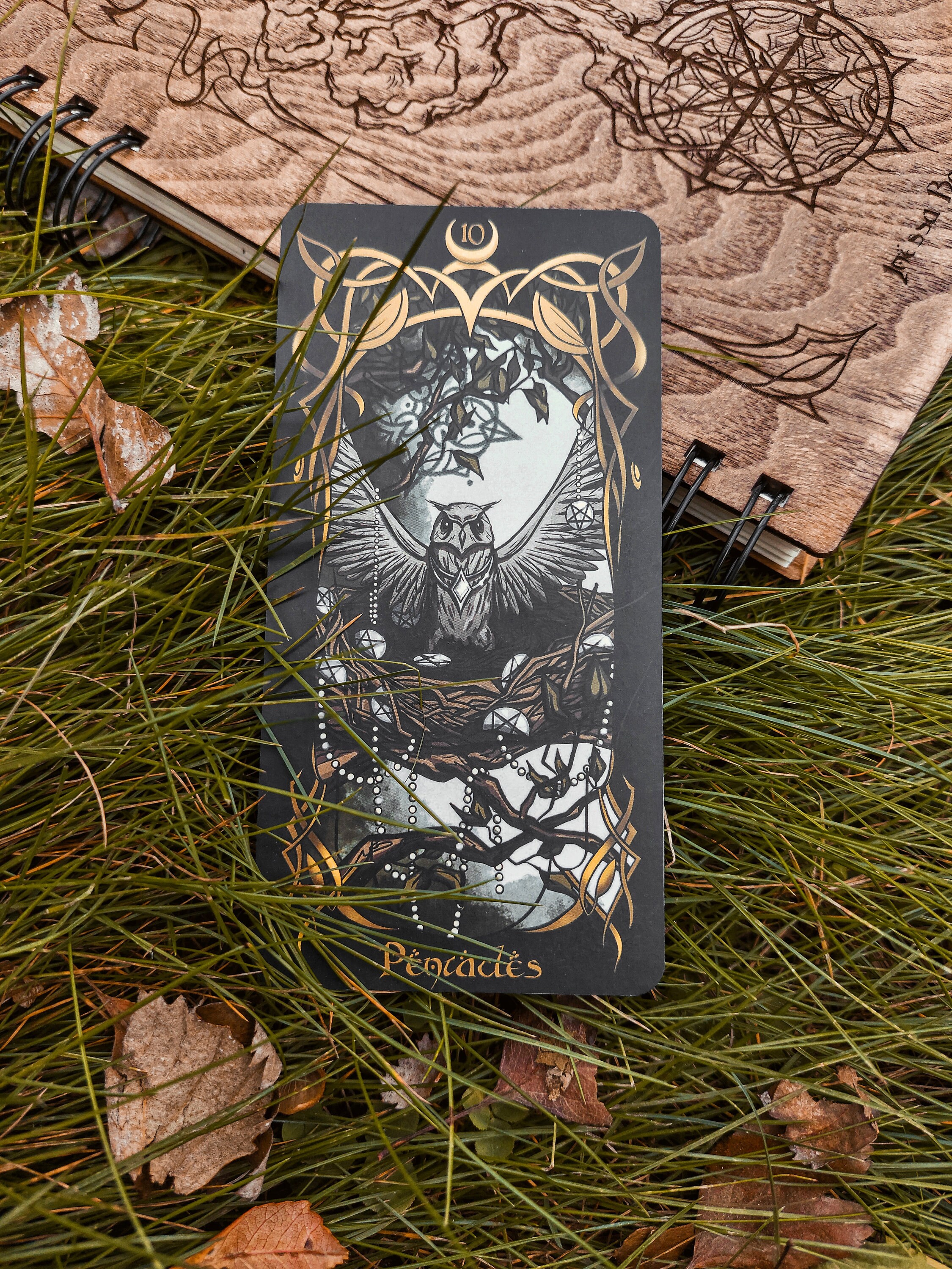 MOONLIGHT Tarot Deck With Guidebook, 78 Cards, Dark Tarot Deck for ...