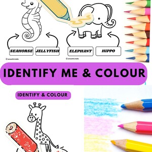 Printable Identify Me & Colouring Sheets,cute Colouring Pages,15 ...