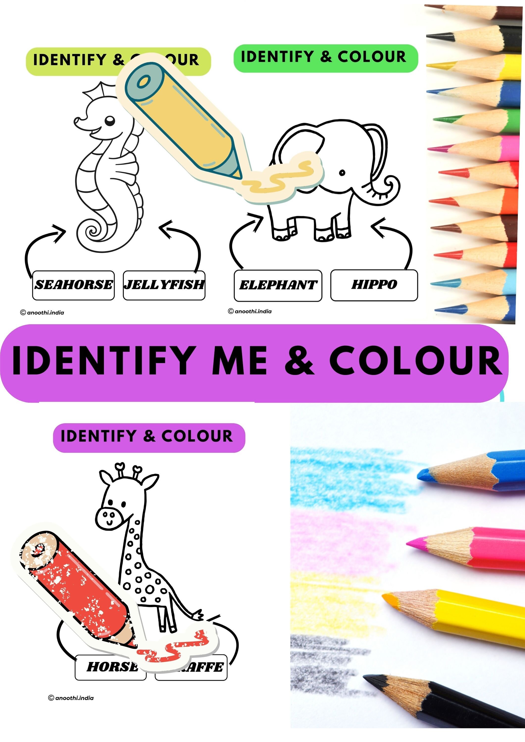 Printable Identify Me & Colouring Sheets,cute Colouring Pages,15 ...