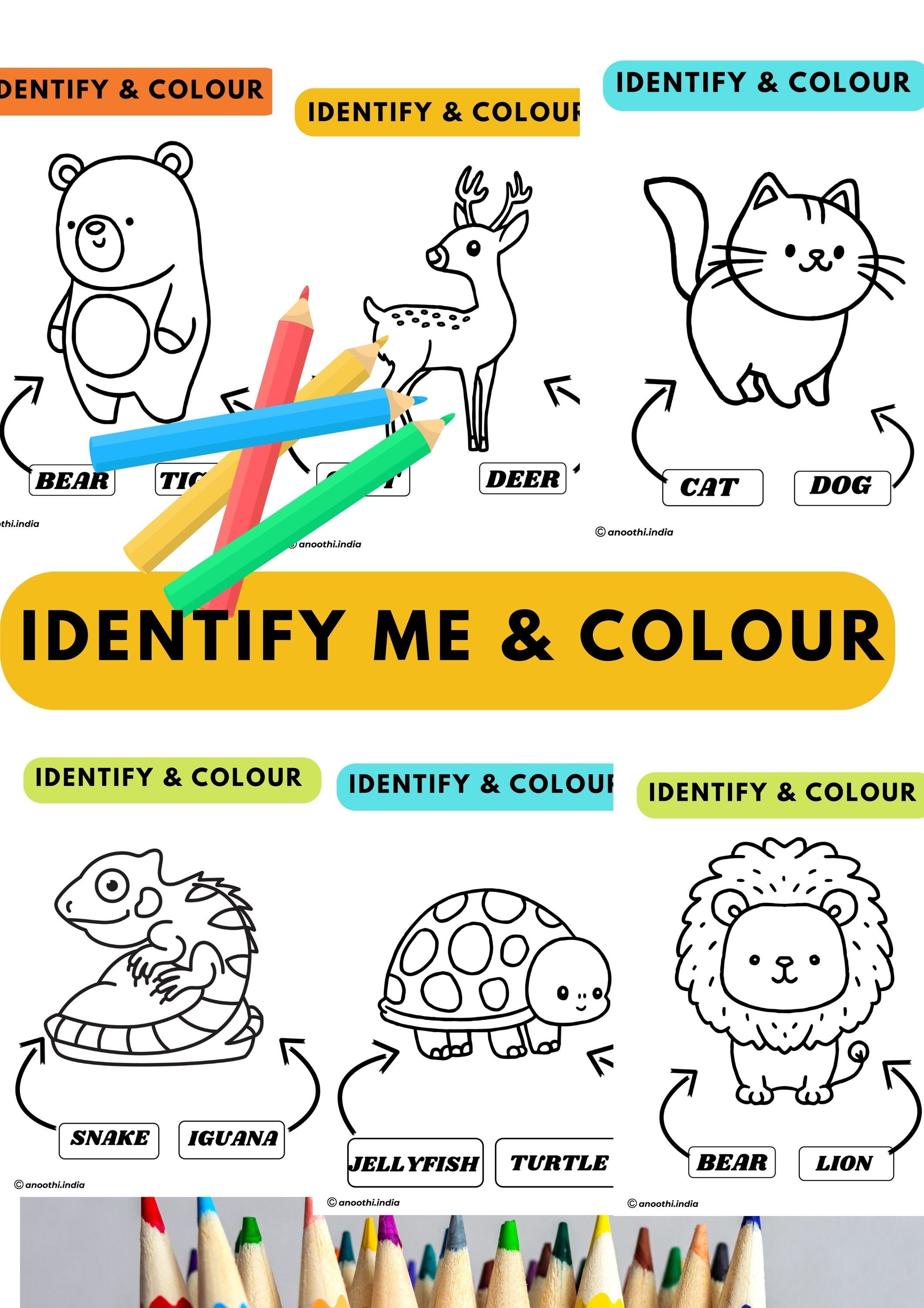 Printable Identify Me & Colouring Sheets,cute Colouring Pages,15 ...