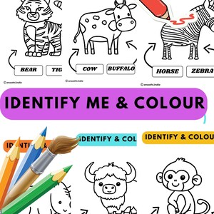 Printable Identify Me & Colouring Sheets,cute Colouring Pages,15 ...