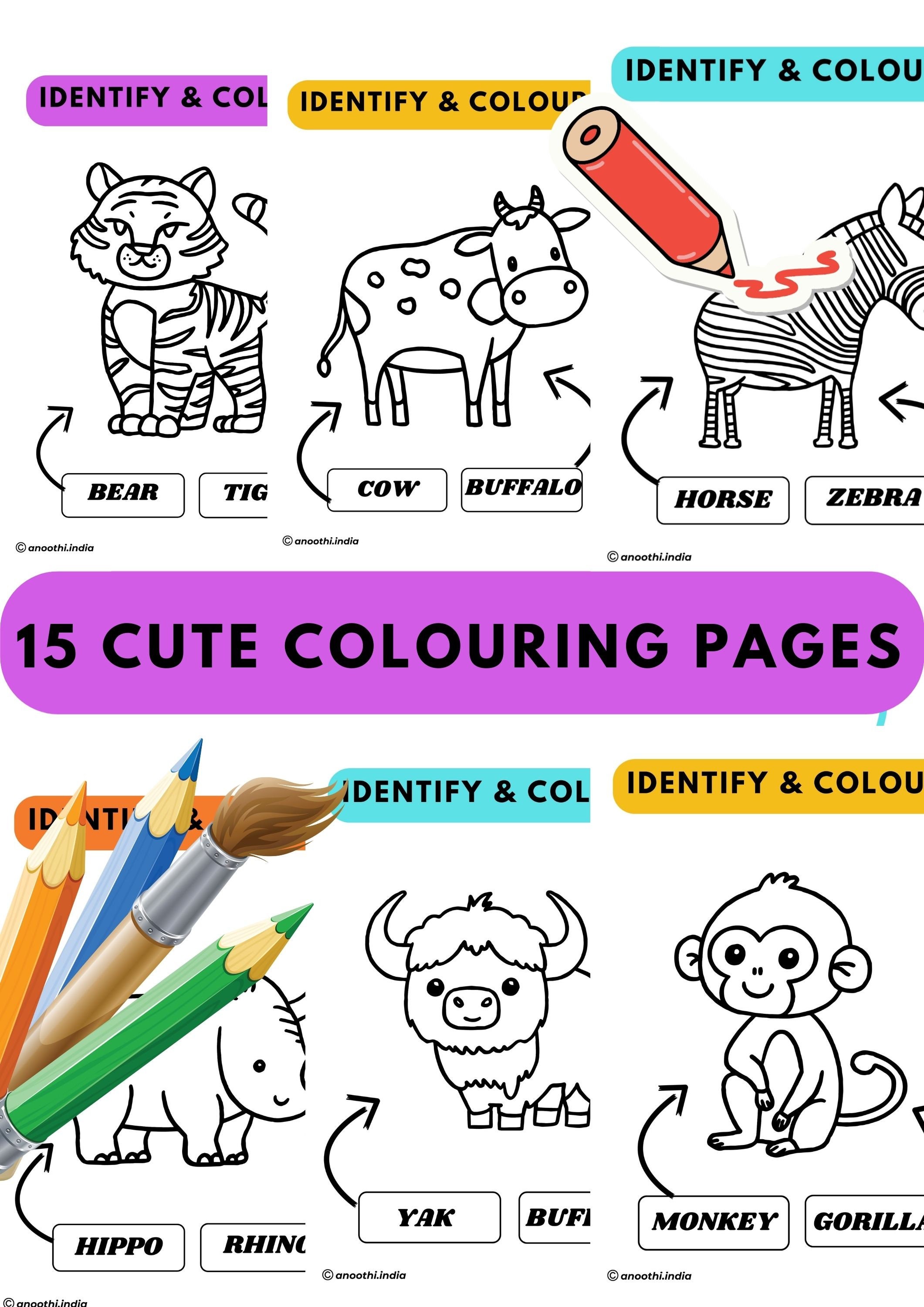 Printable Identify Me & Colouring Sheets,cute Colouring Pages,15 ...