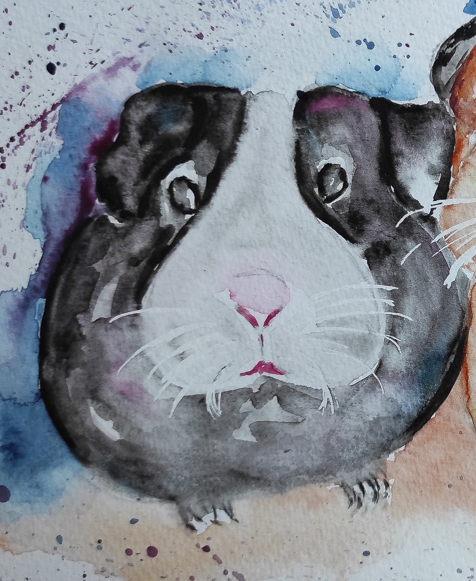 Guinea Pig Painting Original Watercolor - Etsy