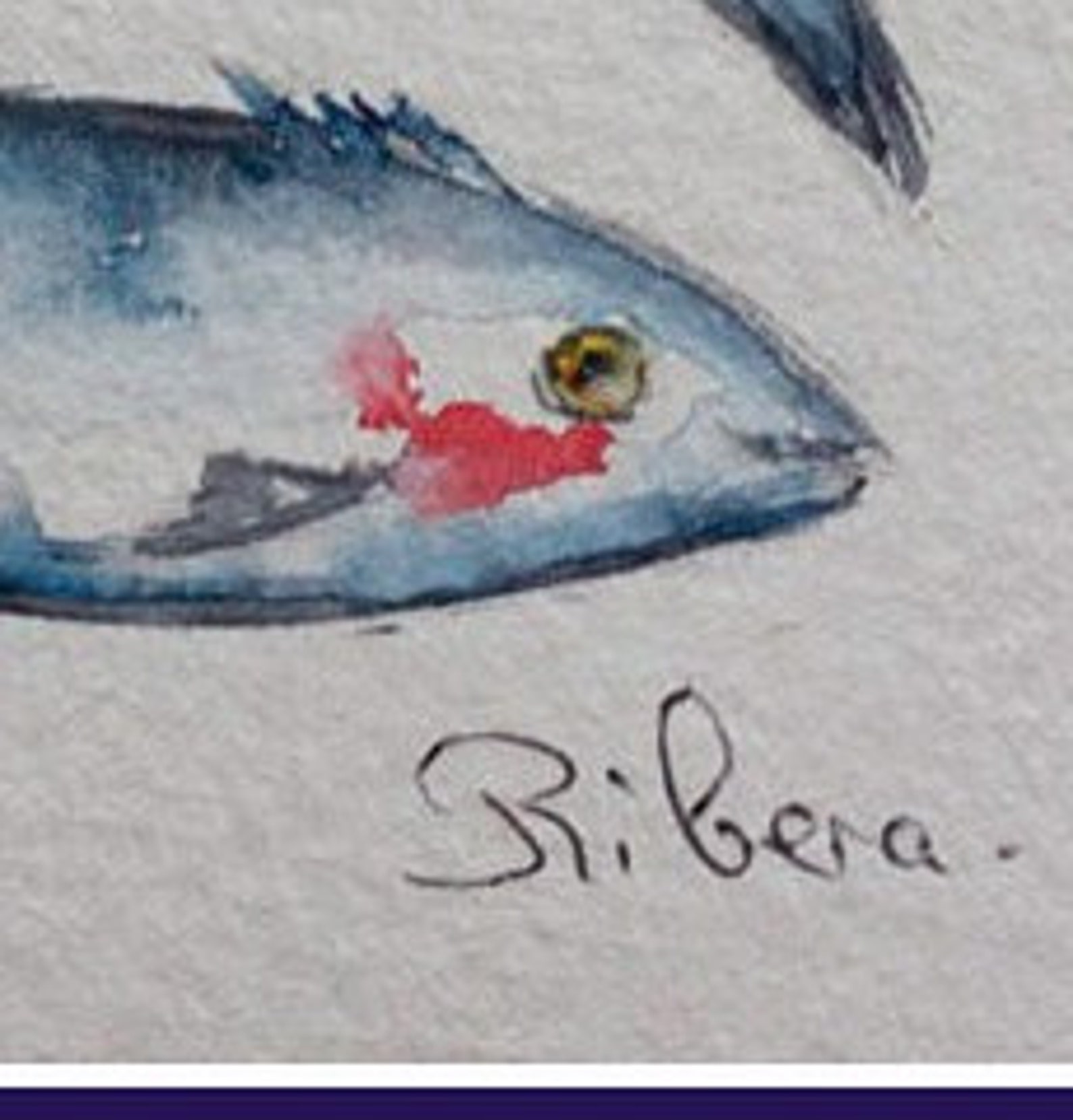 Pilchard Watercolor Painting Sea Food Kitchen Art Sardine Wall Decor ...
