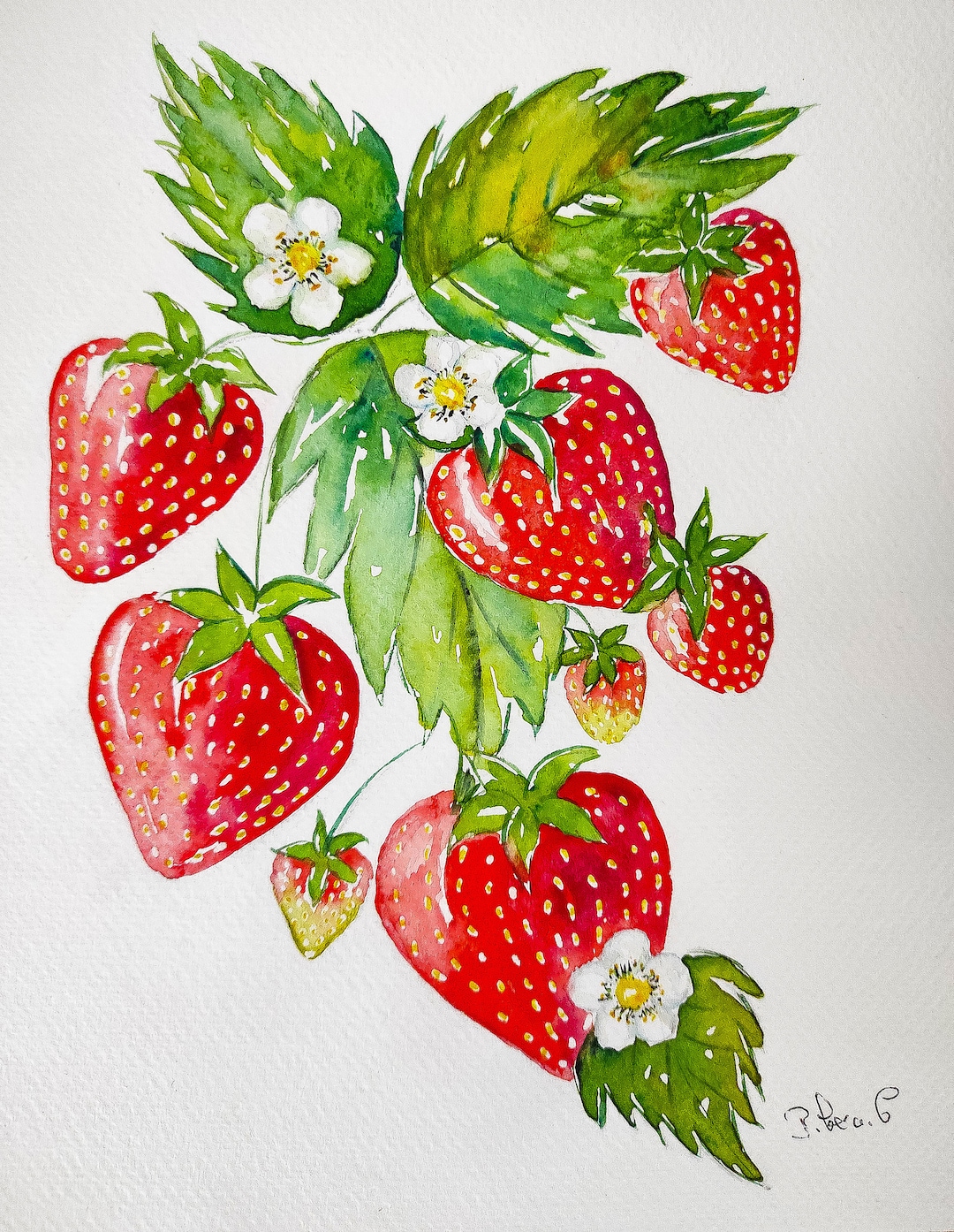 This item is unavailable - Etsy