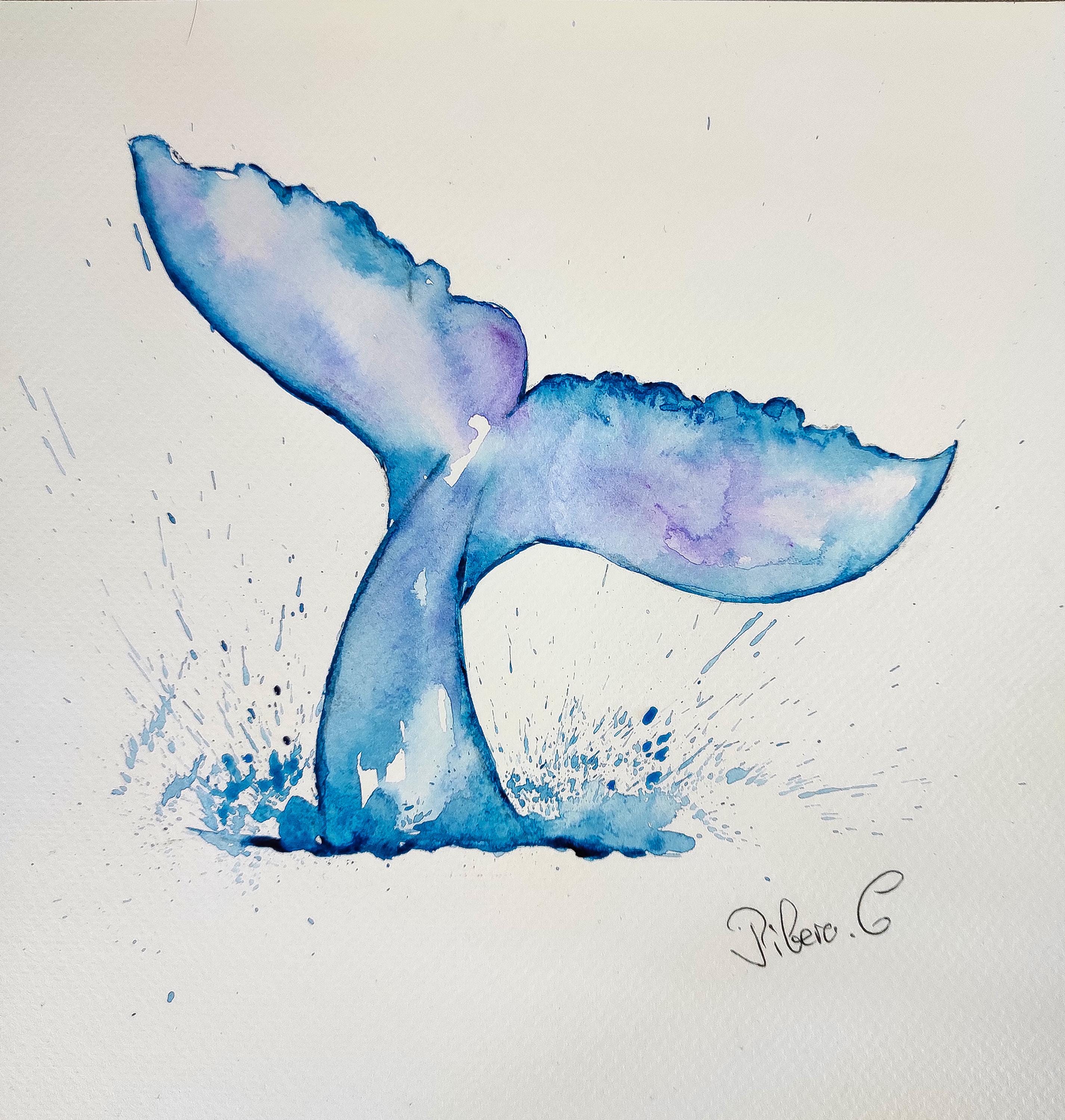 Whale Tail Watercolor – Ocean Wall Art, Marine Animal Illustration ...