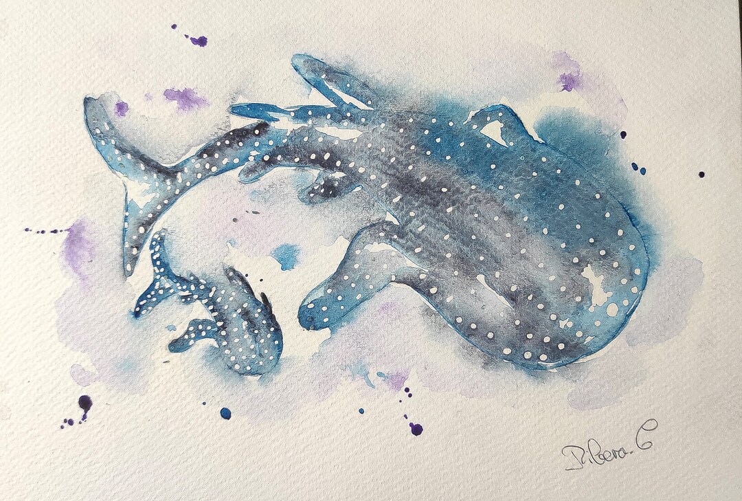 Whale Shark Original Watercolor Painting - Etsy