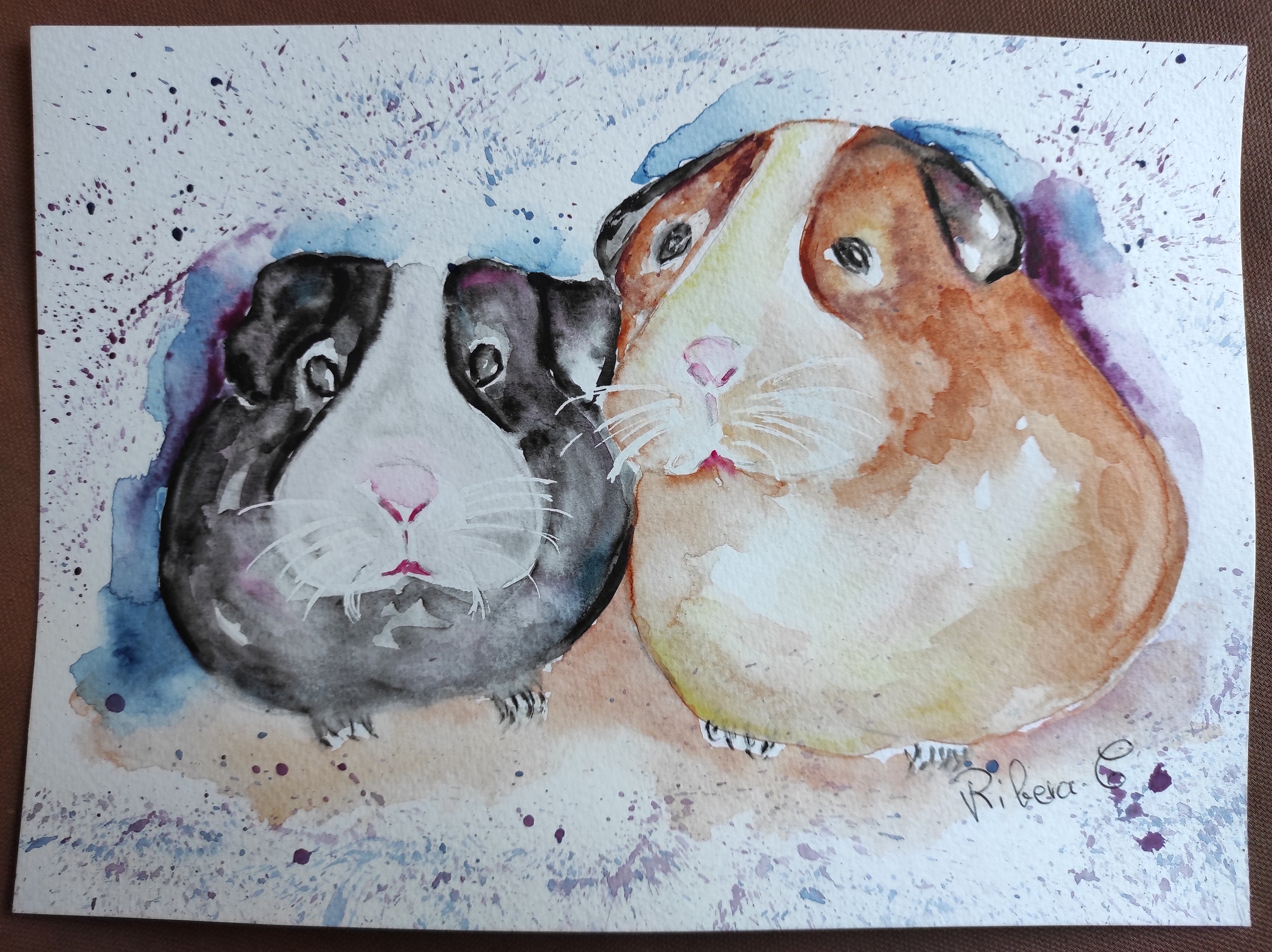 Guinea Pig Painting Original Watercolor - Etsy