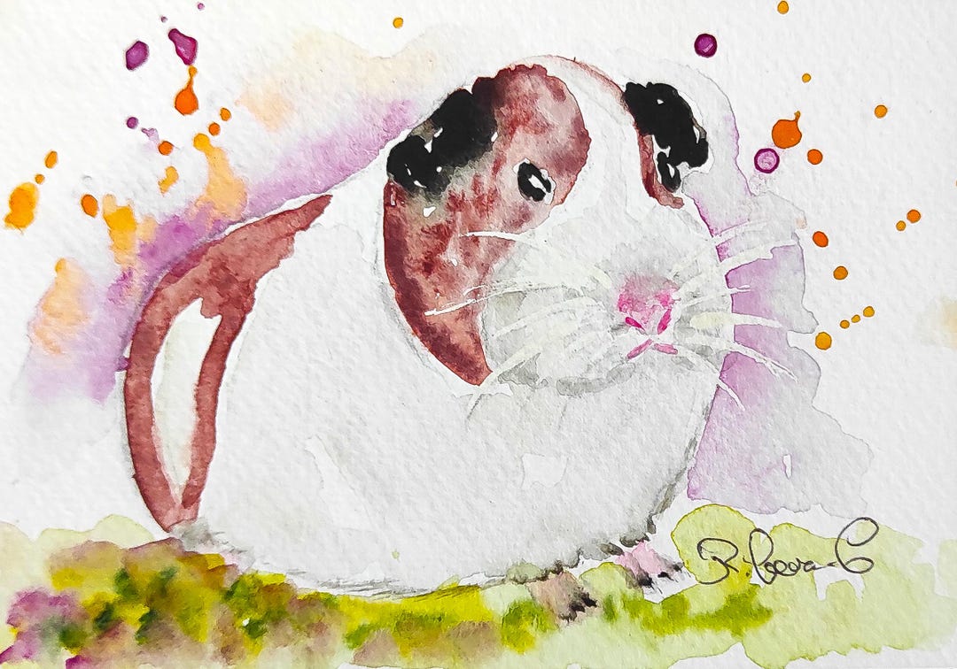 Original Watercolor Guinea Pig Painting Wall Art - Etsy
