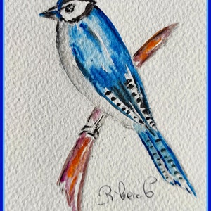 Watercolor of a Blue Jay, Original Art - Etsy