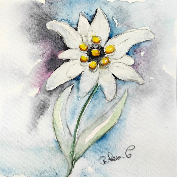 Edelweiss Wall Art - Etsy