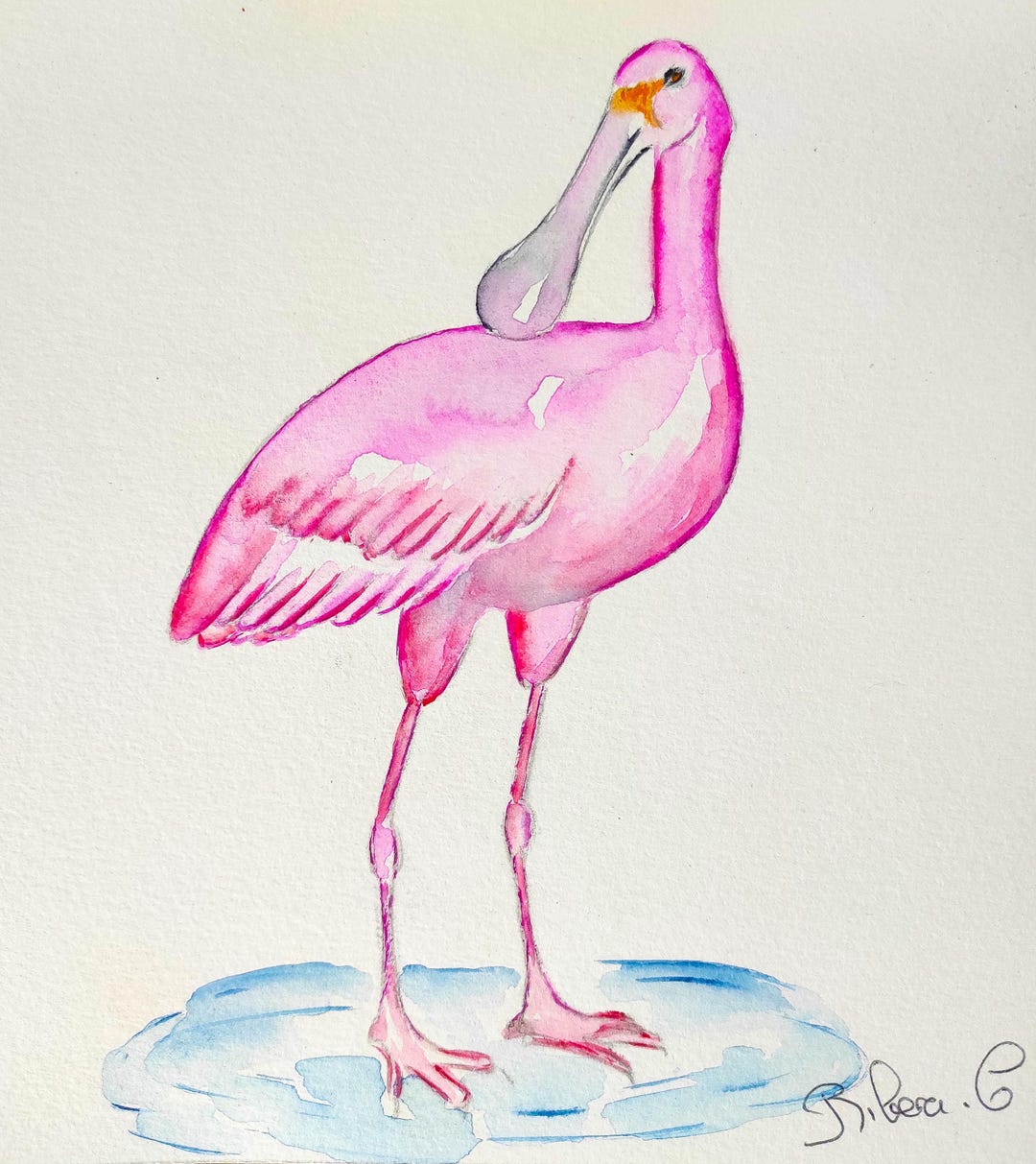 Roseate Spoonbill Watercolor Painting - Etsy