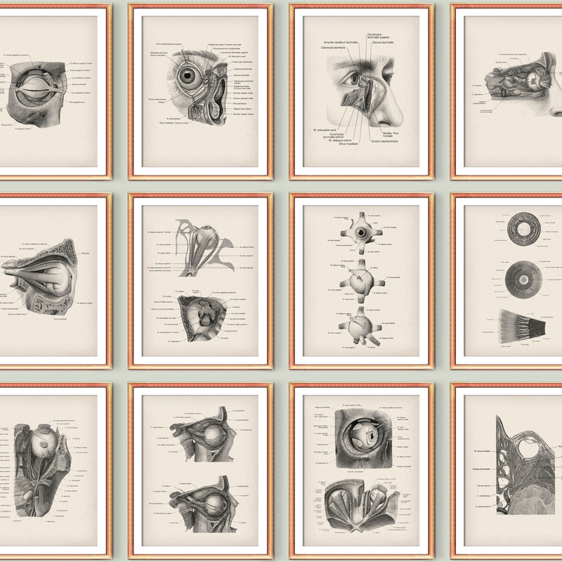 Ophthalmology Art Poster - Etsy