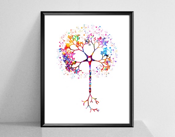 Neuron Anatomy Art Watercolor Neuron Cell Artwork Neurology | Etsy