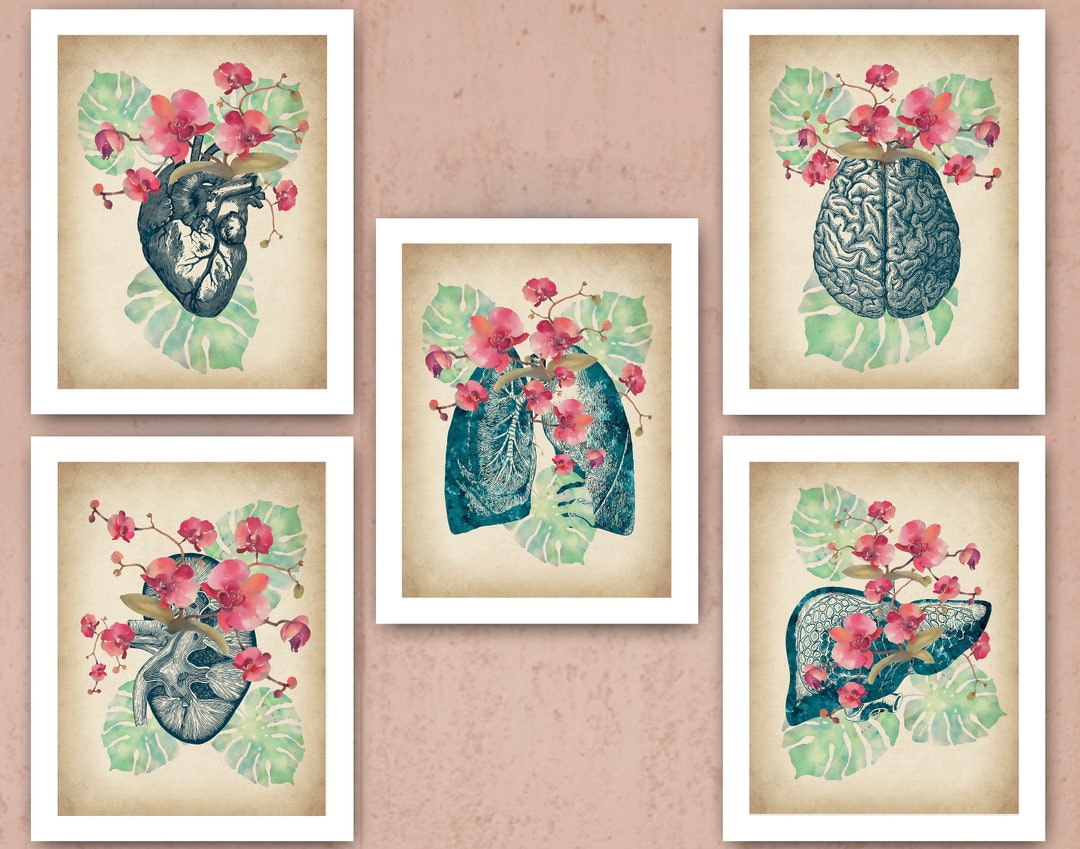 Set 5 Floral Anatomy Artwork Medical Gift Doctor Office Decoration ...