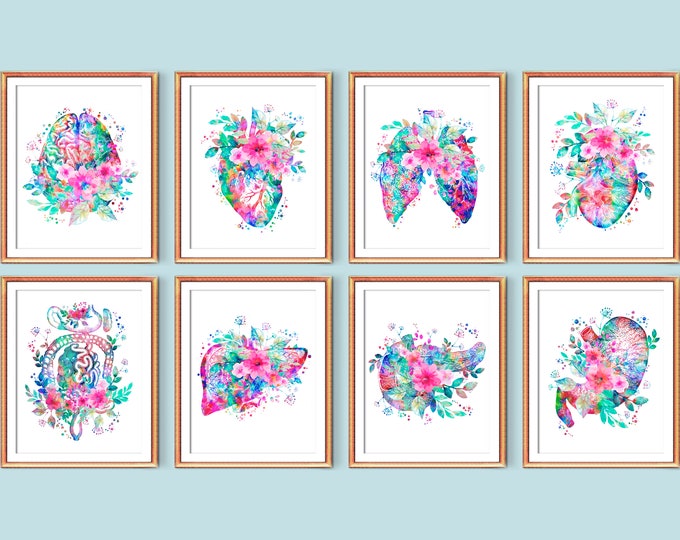 Watercolor Anatomy Art Set 8 Medical Art Floral Organs Poster - Etsy
